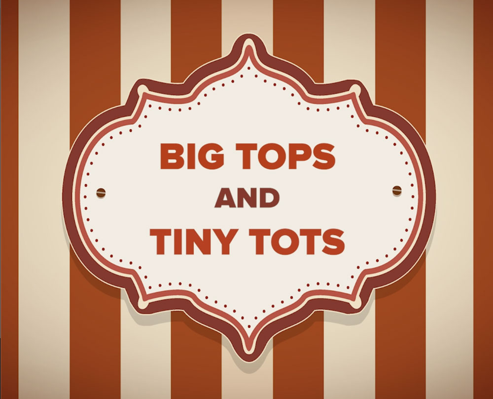 Shows - Circus Mania